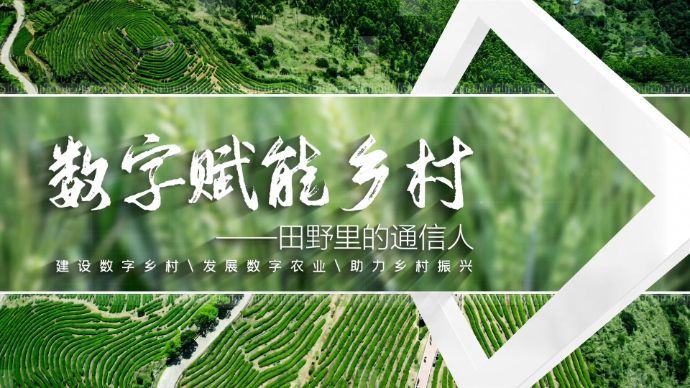 数字赋能乡村--田野里的通信人⑨