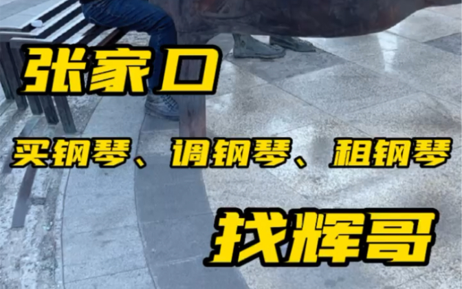 张家口恺撒堡钢琴怎么选*恺撒堡钢琴专卖店、珠江琴行找钢琴辉哥