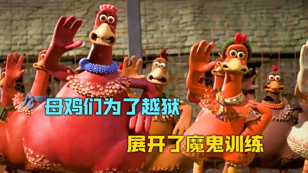 母鸡为了逃出农场,开始努力锻炼身体,结果却失败了《小鸡快跑》