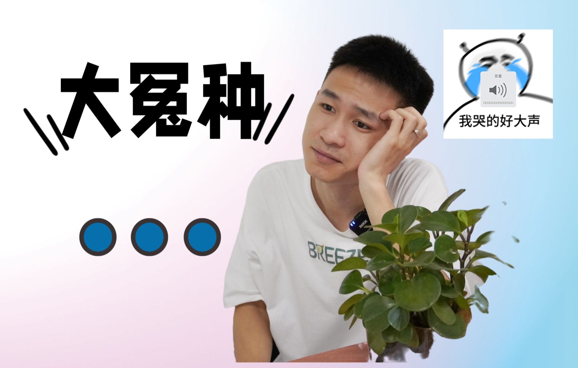 离了个大谱!公司丢了8块硬盘,竟然让我赔钱?只有我受伤的世界达成了~