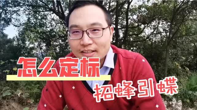 如何定标,寻找能招蜂引蝶的花朵