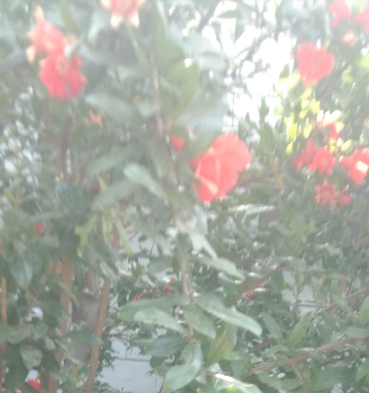 为了理想去奋斗ok 