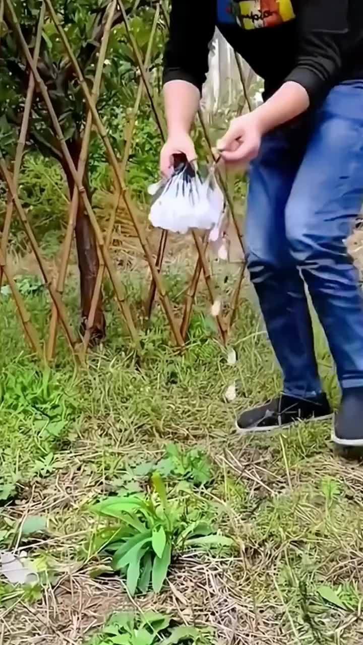 正东 太阳能路灯 户外庭院灯 led一体化民族风 照明可用