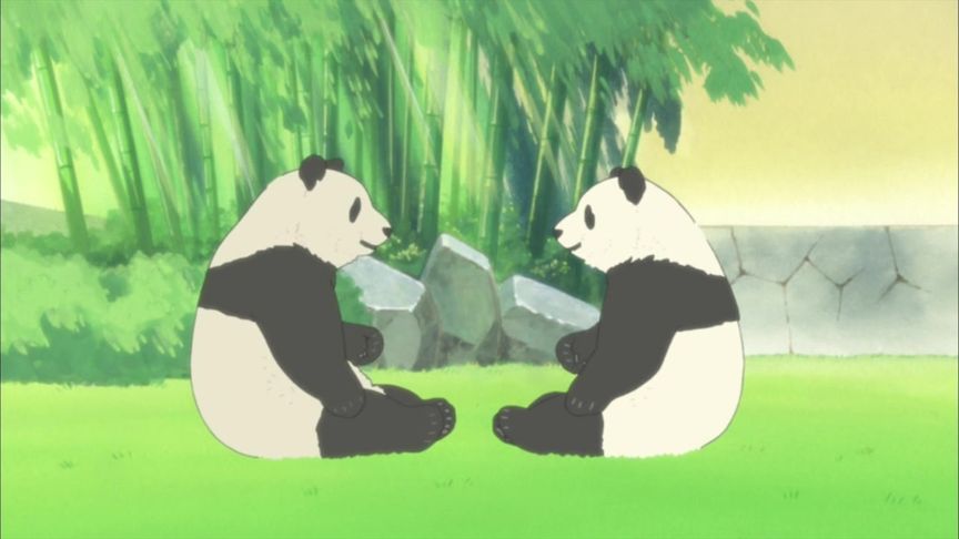 熊猫一周工作两天,还抱怨太累