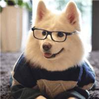 张颖说生活故事 