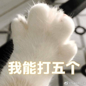 狗兔幼稚园园长 