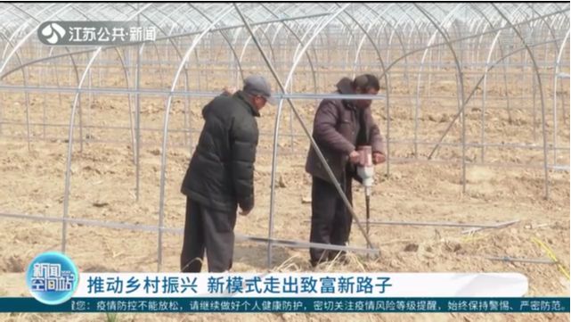 产业增收致富路!特色农业推动乡村振兴,新模式让全村致富