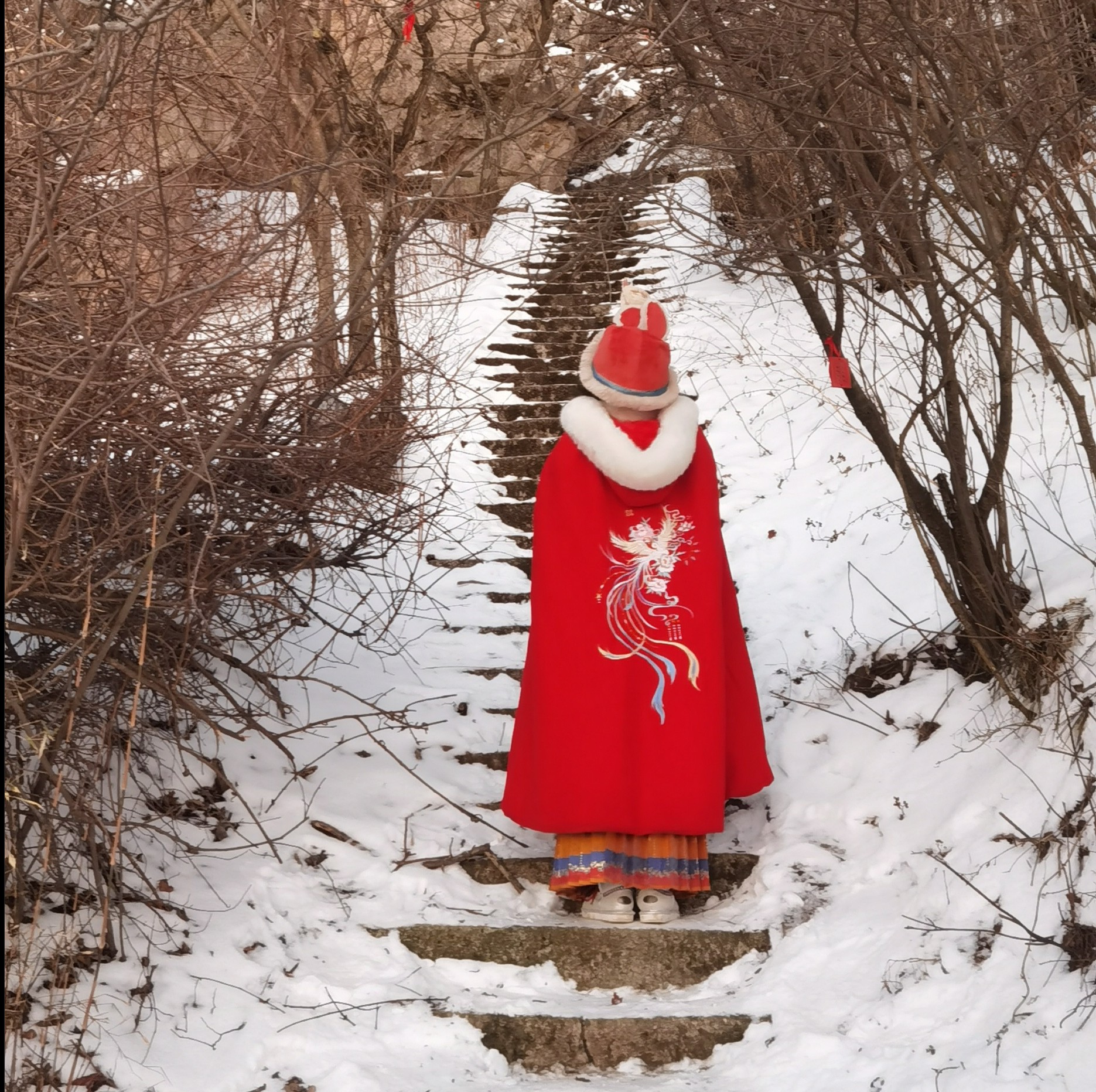 一头滑倒的北极熊 