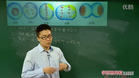 (2)细胞增殖与分化-有丝分裂(二)知识点2