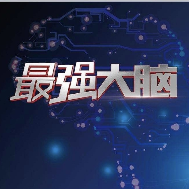 最强大脑精华版 