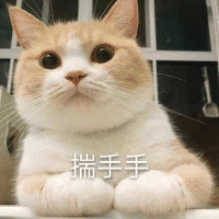 三农的小须 