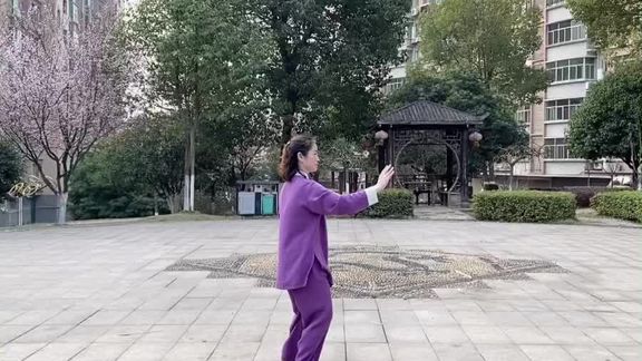 挑战九九每日一练,第66式斜行!#日常训练打卡 #陈式太极拳