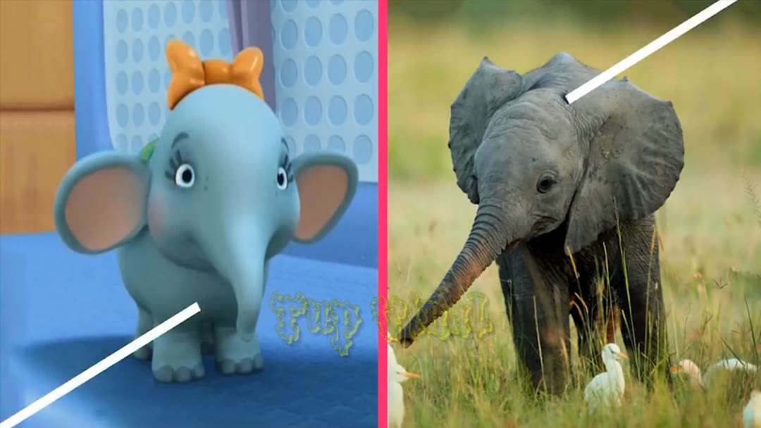 动物神模仿动漫人物,你觉得谁最像!