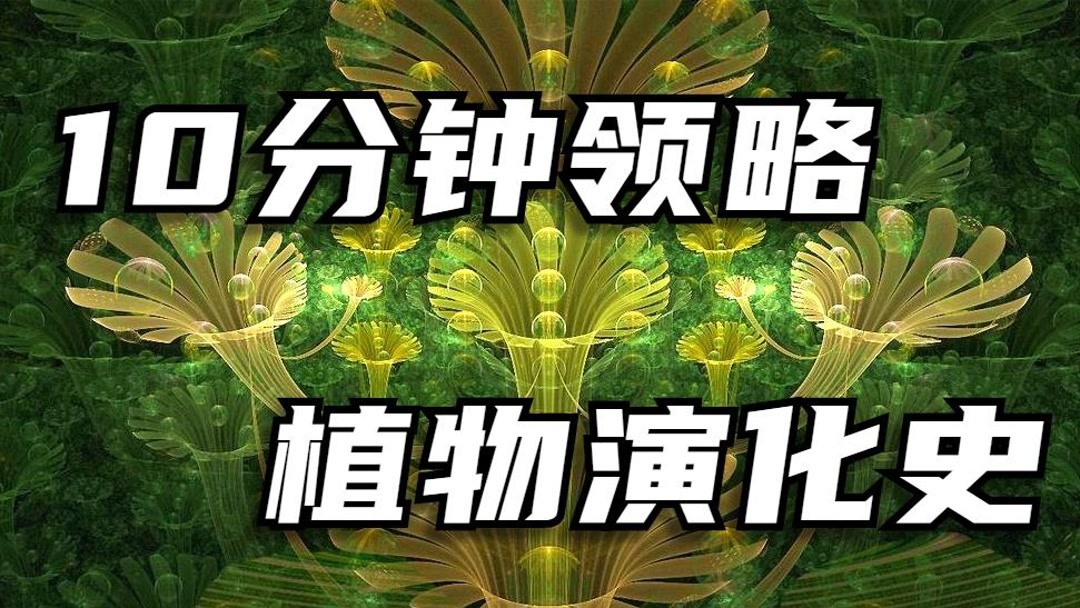 地球何时被绿色覆盖?这是个爱与生命的故事,10分钟看植物演化史