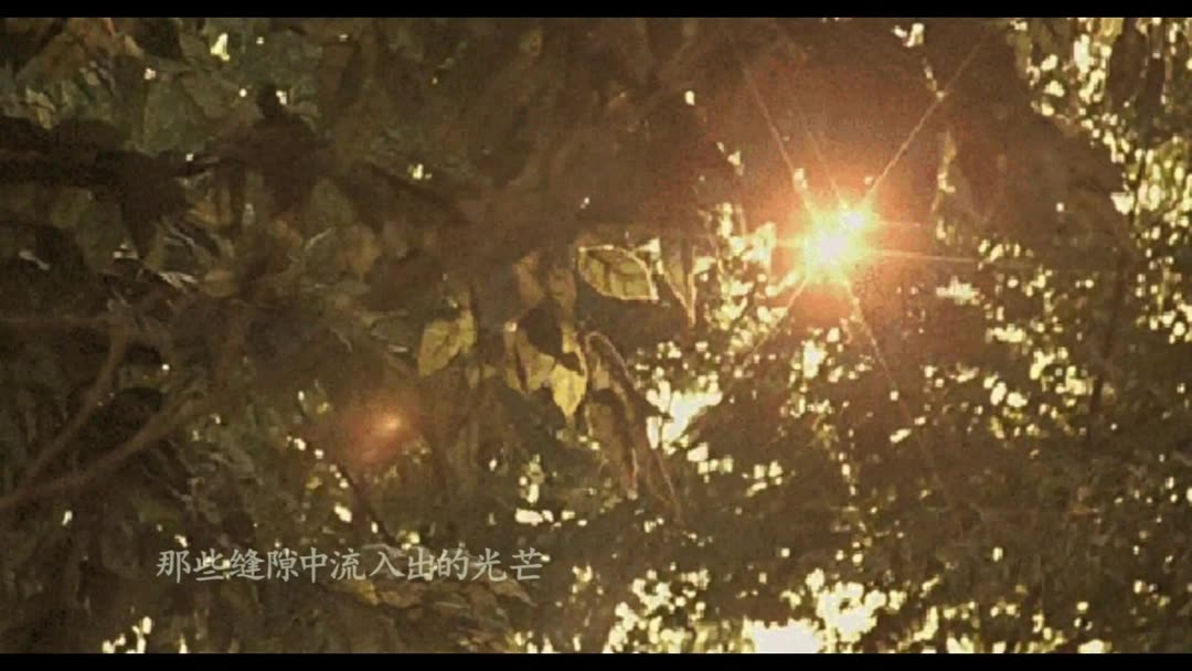 寂悸 最初的模样 官方版(完整版HD)