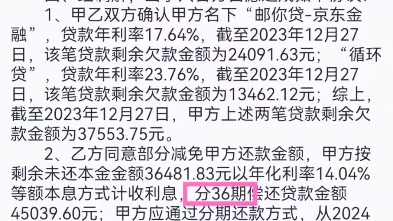 ...金融借款纠纷案件)涉调案件达成和解,分3年36期债务重置还款方案成功