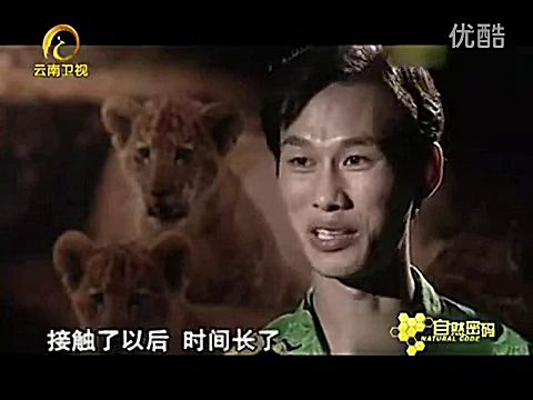 动物世界打斗能力排行_动物世界模拟主持稿_动物世界老虎 狼群