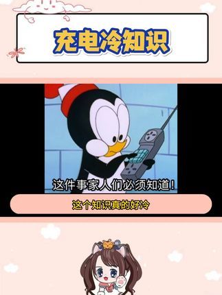 很好很好,感觉被耍了我要报警#充电 #冷知识 #typec
