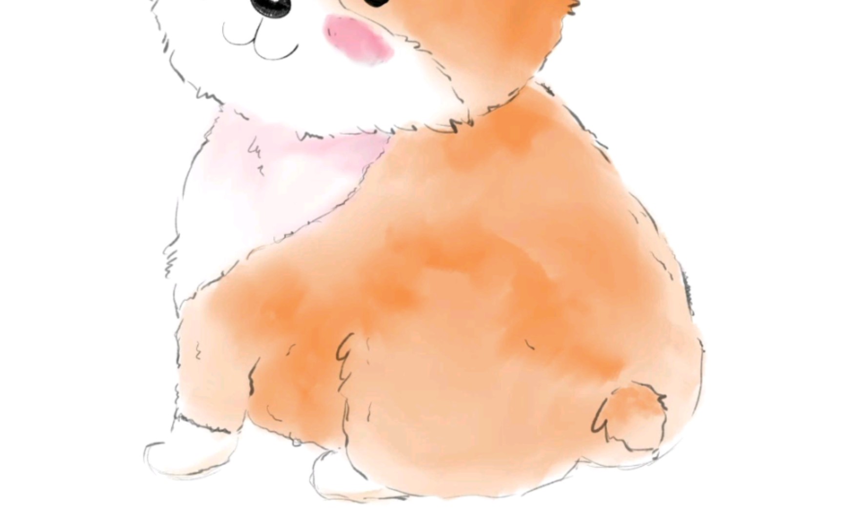 【sketchbook】新手手绘练习 3 画一只柯基小可爱