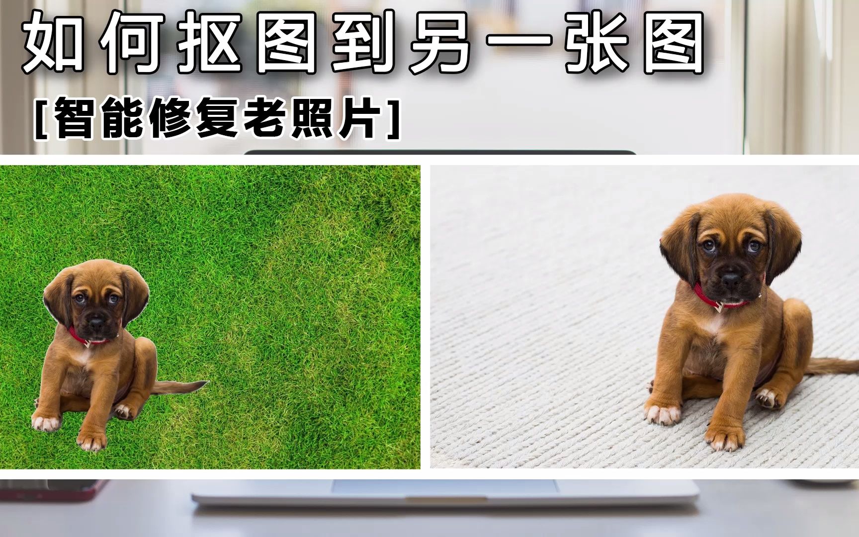 抠图怎么抠到另一张图