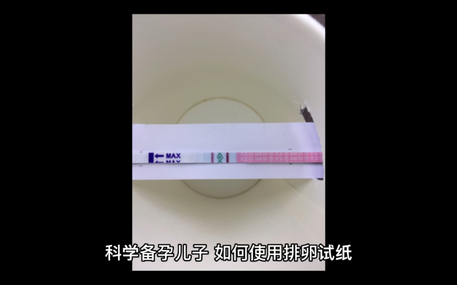 科学备孕儿子,如何使用排卵试纸?什么时间可以测?