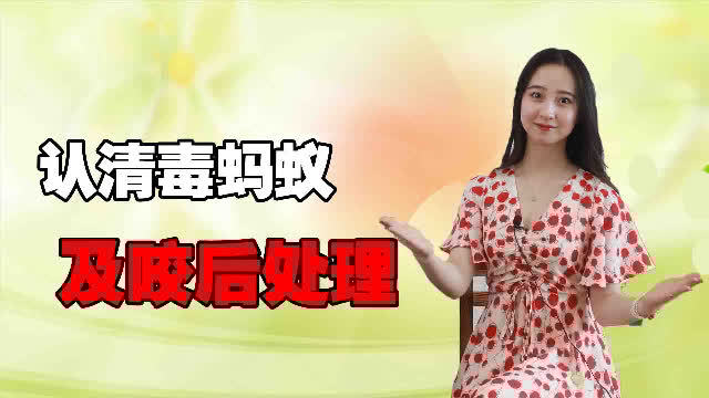 男子被蚂蚁咬后呼吸衰竭!教你如何认清毒蚁,咬后如何处理