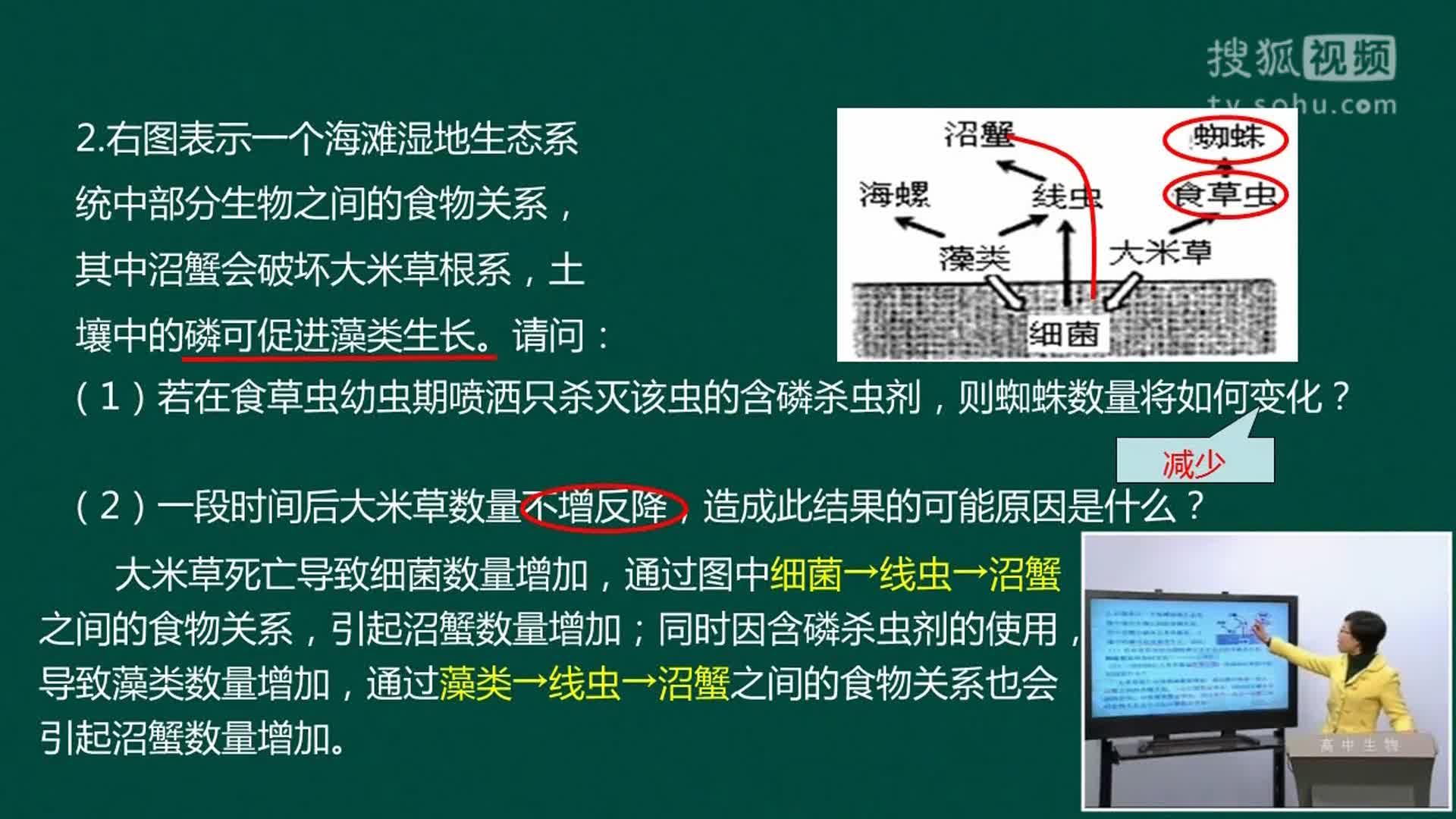 生物20 生态系统及其稳定性(上)