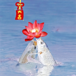 榴莲怪大战香菜侠 