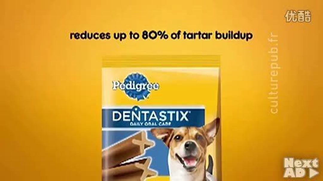 搞笑视频_搞笑图片_一狗狗的微笑