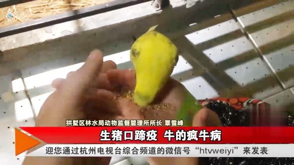 室内动物园出问题,安全隐患显而易见,到底谁来管管这些事?!