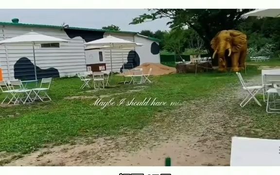 【美丽乡村】5亩地小农场,靠咖啡种植和农场体验相结合,日收入10万