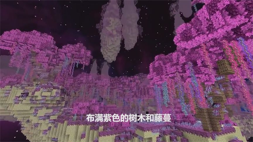 我的世界末地猜想:洞穴都更新了,下一次总要轮到末地了吧