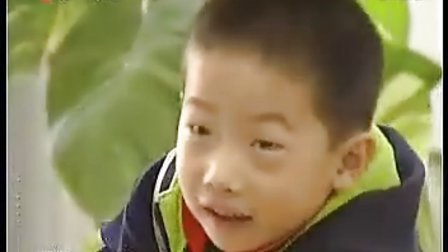 小学数学一年级优质课展示上册《比较_动物乐园》实录说课_北师大版...
