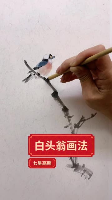 国画老师画白头翁,画法简单易学