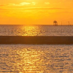 你是小屁孩哦豁 