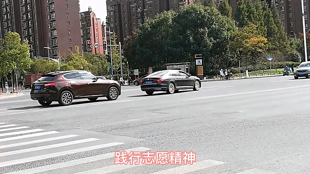 践行志愿精神担当进博使命一场有意义的志愿者活动