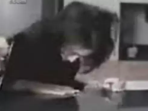 凡人修仙传OL推广员 tgy699