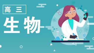 生物 高三 细胞增殖专题