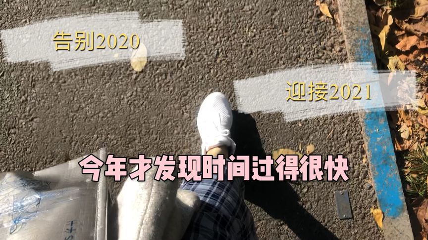 糖大宝一家的年终总结和来年计划,20再见21你好,遇见更好的