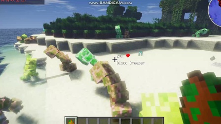 我的世界c里c里