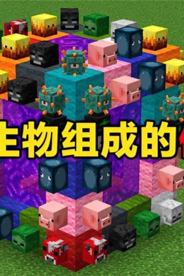 我的世界:用MC所有生物做成的传送门,会有什么惊喜?