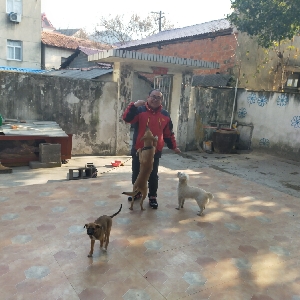 bili_34671925232 