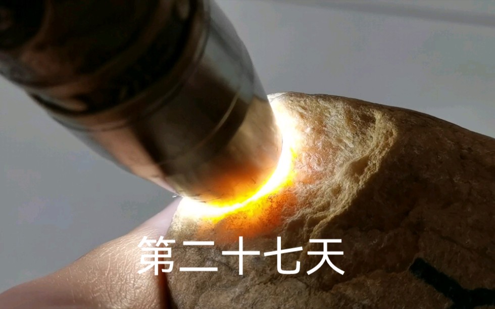 第二十七天挑战公斤料切冰种翡翠,五一了必须涨!