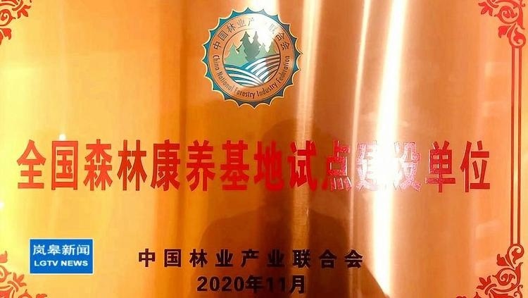 岚皋5家单位企业荣获全国森林康养基地试点建设单位称号