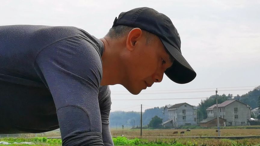 自己动手,美化庭院!