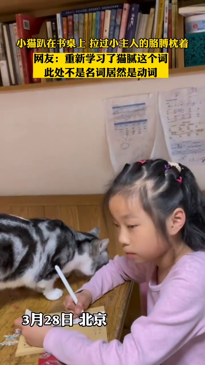 重新学习了猫腻这个词,此处不是名词居然是动词