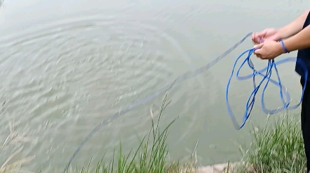 飞盘网在运河闸门前撒网