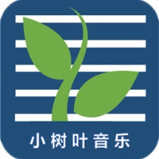 小树叶音乐工作室 