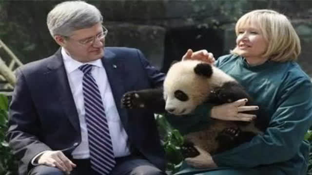 这只送到国外的大熊猫被"退货",发生了什么?外国:养不起!