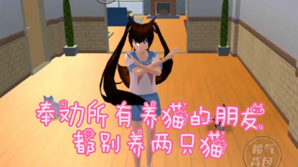 樱花校园模拟器:晴婉告诉养猫的朋友们,千万不要养两只猫!